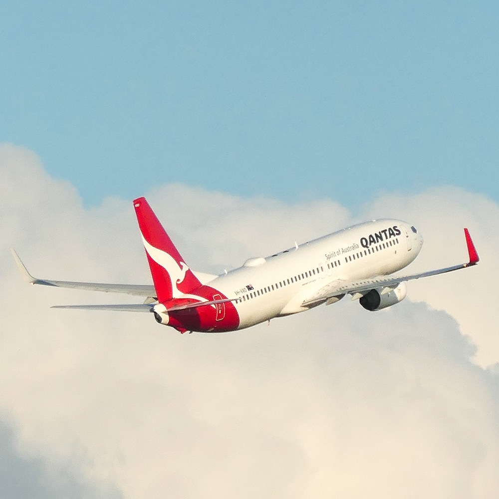 Bed Bugs On Aeroplanes: 5 Things You Need To Know About